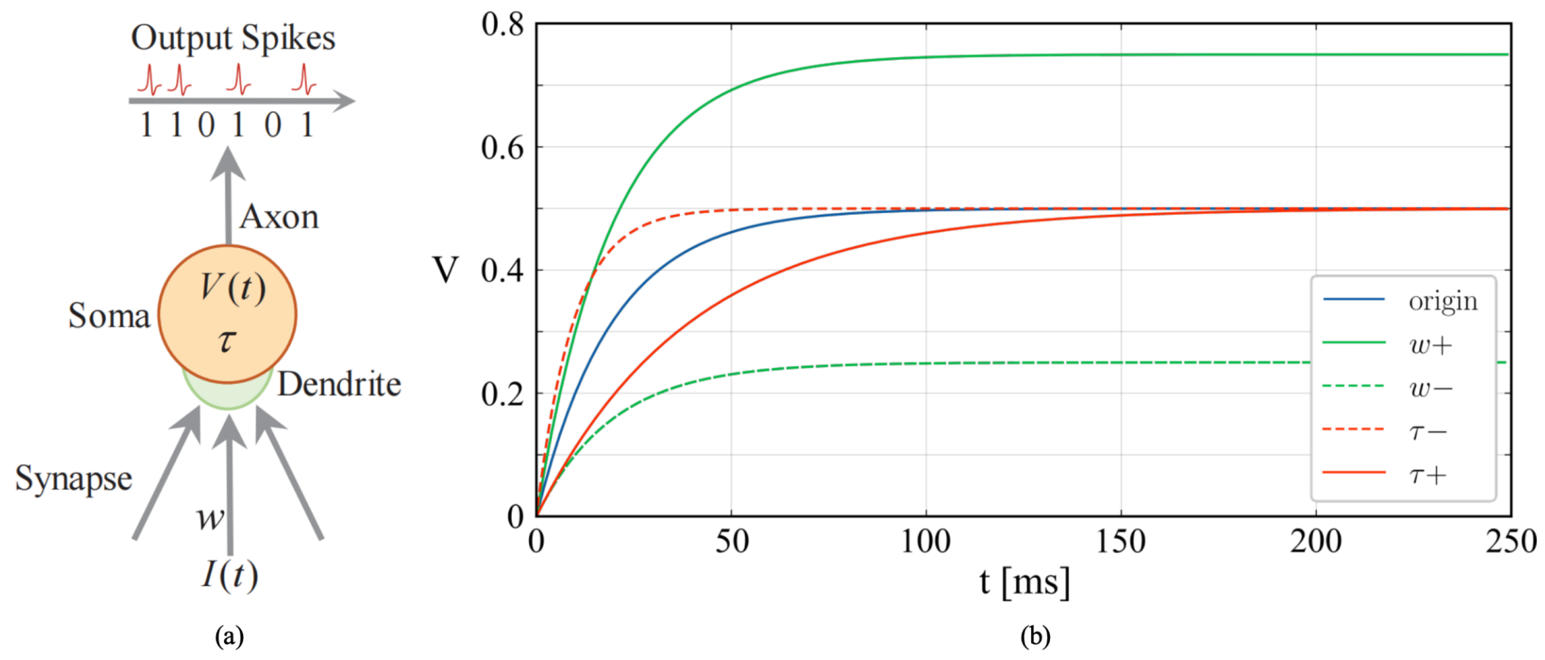 Spiking Neural Networks For Object Detection Based On Integrating Neuronal Variants And Self