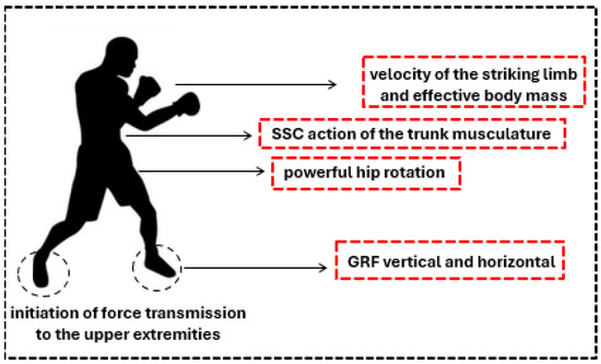 Acute and Chronic Effects of Muscle Strength Training on Physical ...