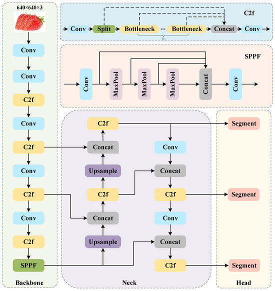 BHI-YOLO: A Lightweight Instance Segmentation Model for Strawberry Diseases