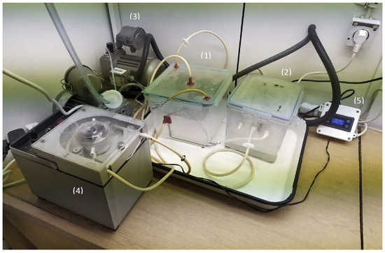 Biomass and Phenolic Acid Accumulation in Salvia austriaca Hairy Roots ...