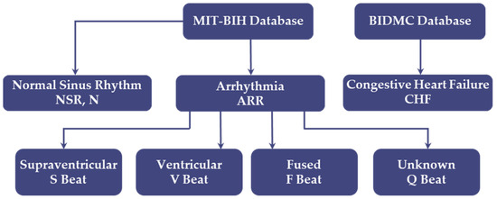 Spectrogram-Based Arrhythmia Classification Using Three-Channel Deep Learning Model with Feature ...