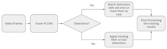 Improving CNN Fish Detection and Classification with Tracking