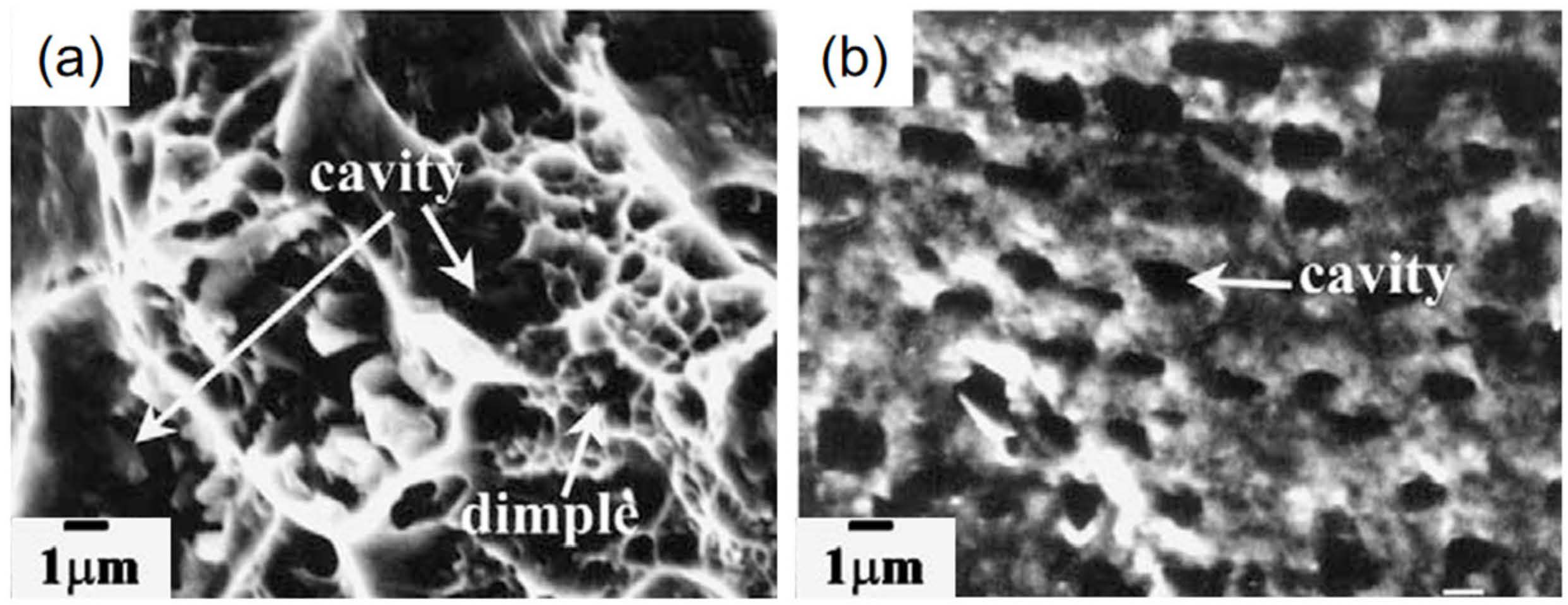 Research Progress on the Relationship Between Microstructure and ...