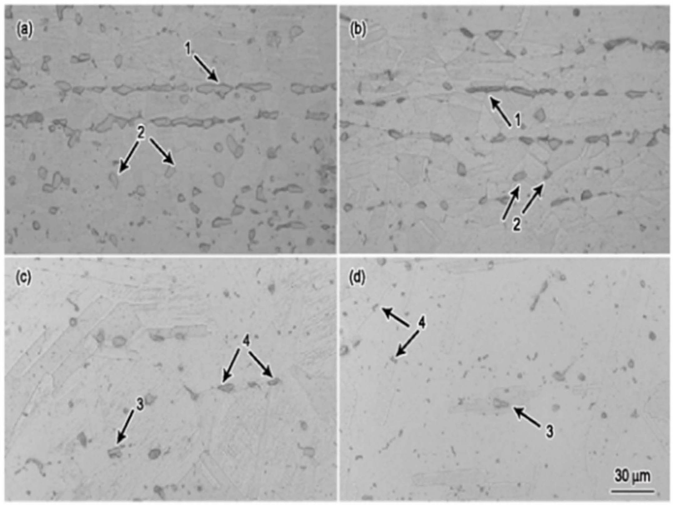 Research Progress on the Relationship Between Microstructure and ...