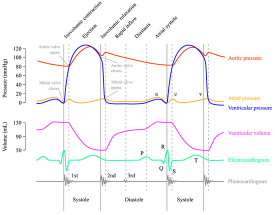 Heart Sound Classification Using Harmonic and Percussive Spectral ...
