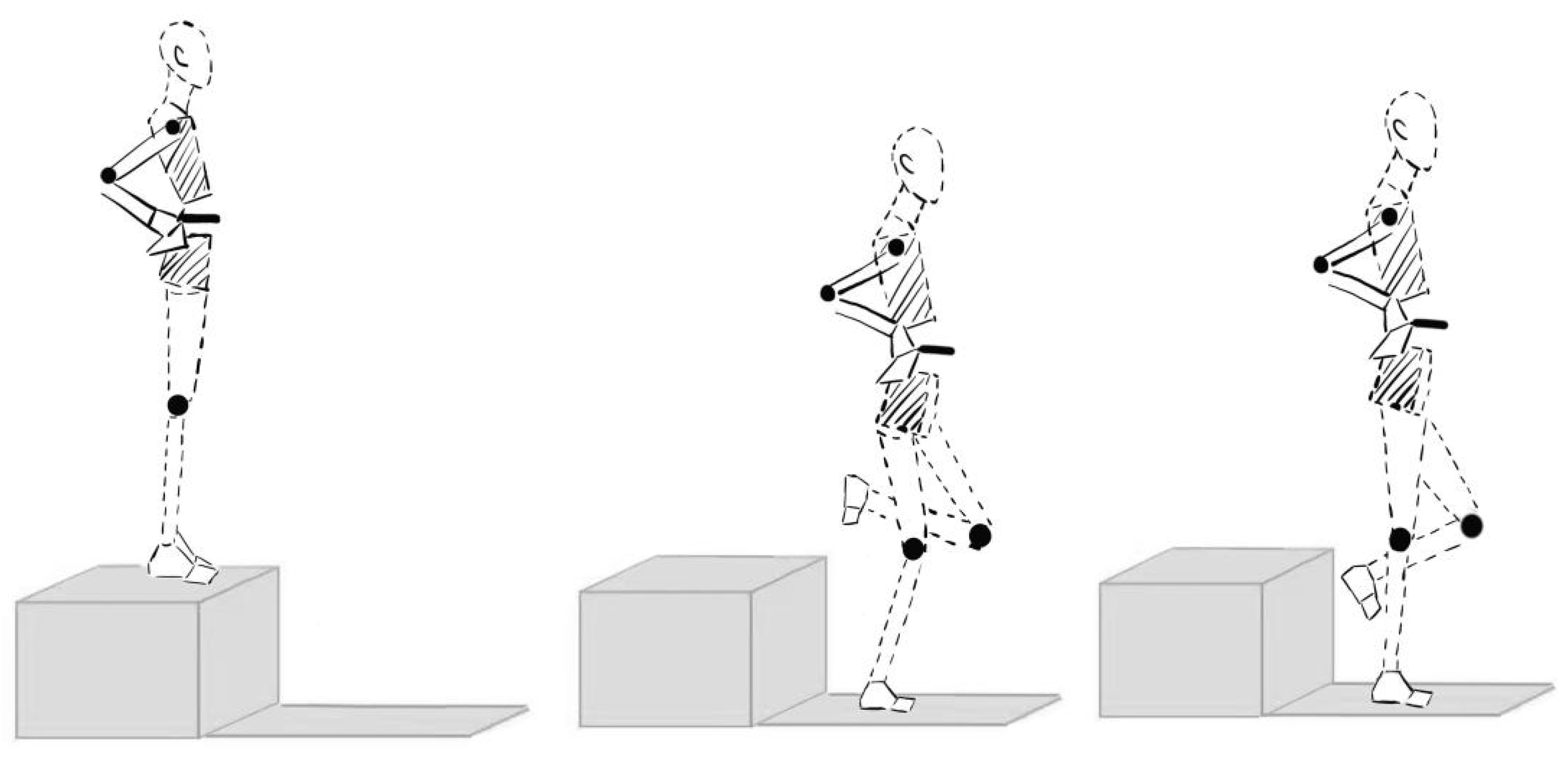 The Impact of Different Footwear Conditions on Lower-Limb Biomechanical ...