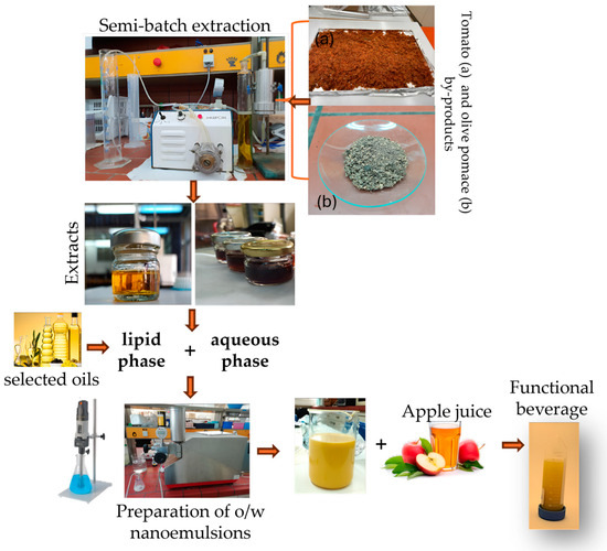 Bioaccessibility and Stability Studies on Encapsulated Phenolics and Carotenoids from Olive and ...