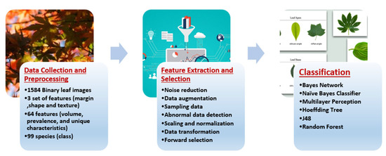 Enhanced Plant Leaf Classification over a Large Number of Classes Using ...