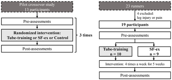 Effects of Toe Tube Training on Intrinsic Foot Muscle Strength and ...