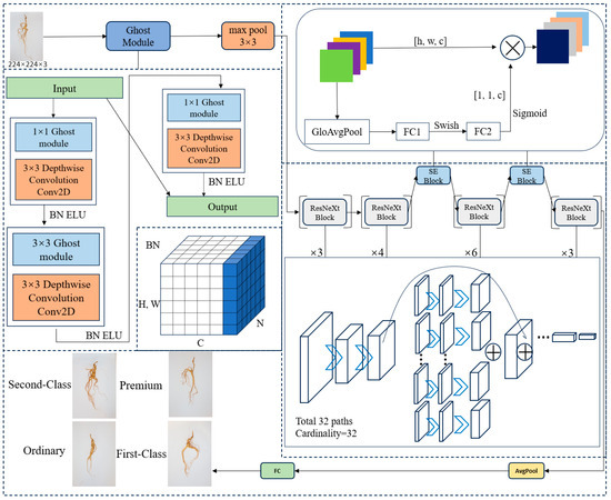 Research on the Classification of Sun-Dried Wild Ginseng Based on an ...