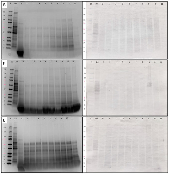 Inactivation of Anisakis simplex Allergens in Fish Viscera by Acid ...