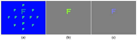 Infrared Imaging System with a Local Polarization Channel for Target Detection