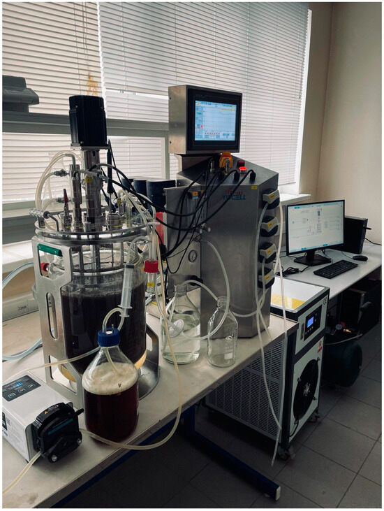 Machine Learning Methods for the Prediction of Wastewater Treatment ...