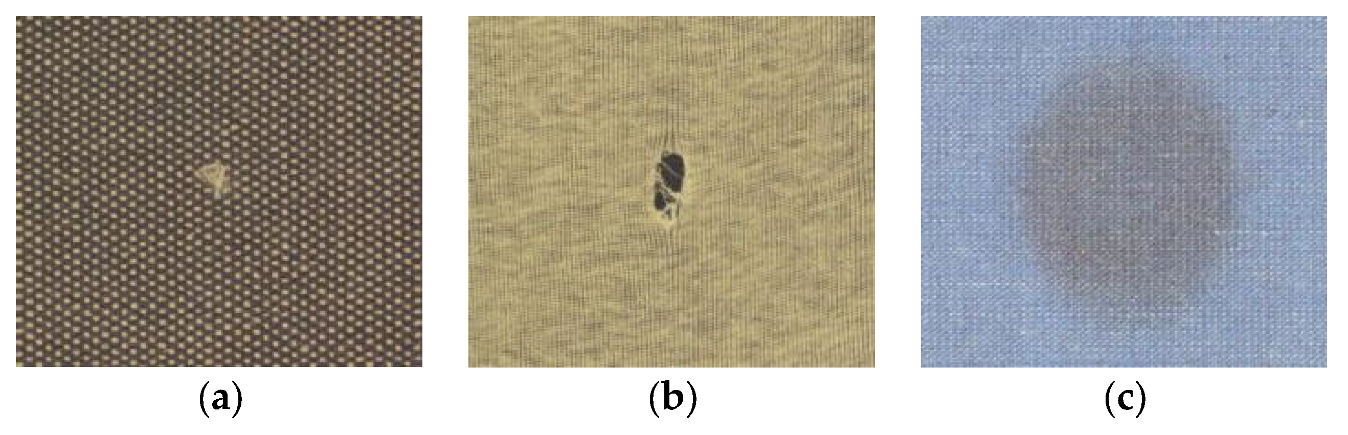 Detection of Defects in Warp Knitted Fabrics Based on Local Feature Scale Adaptive Comparison