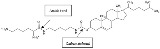 Cationic Lipid Derived from a Basic Amino Acid: Design and Synthesis