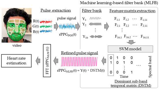 Improved Remote Photoplethysmography Using Machine Learning-Based Filter Bank