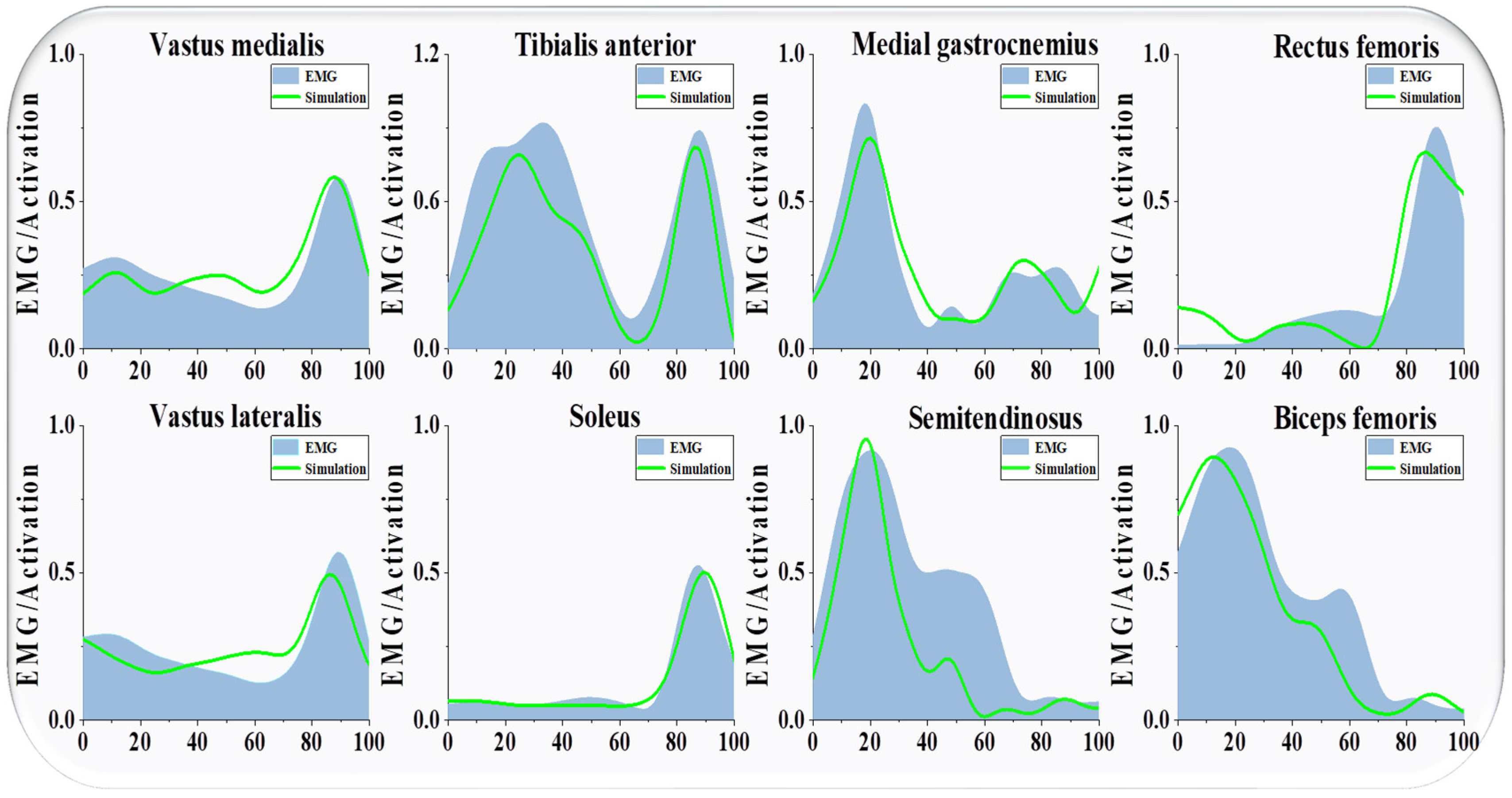 Exploring the Relationship Between Foot Position and Reduced Risk of ...
