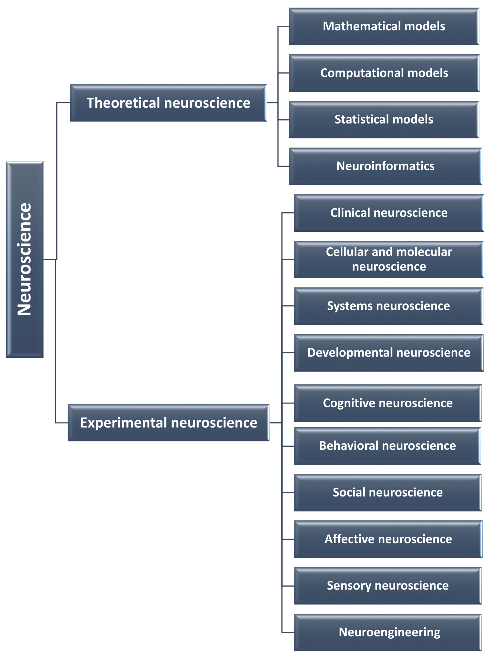 Computational and Mathematical Methods for Neuroscience