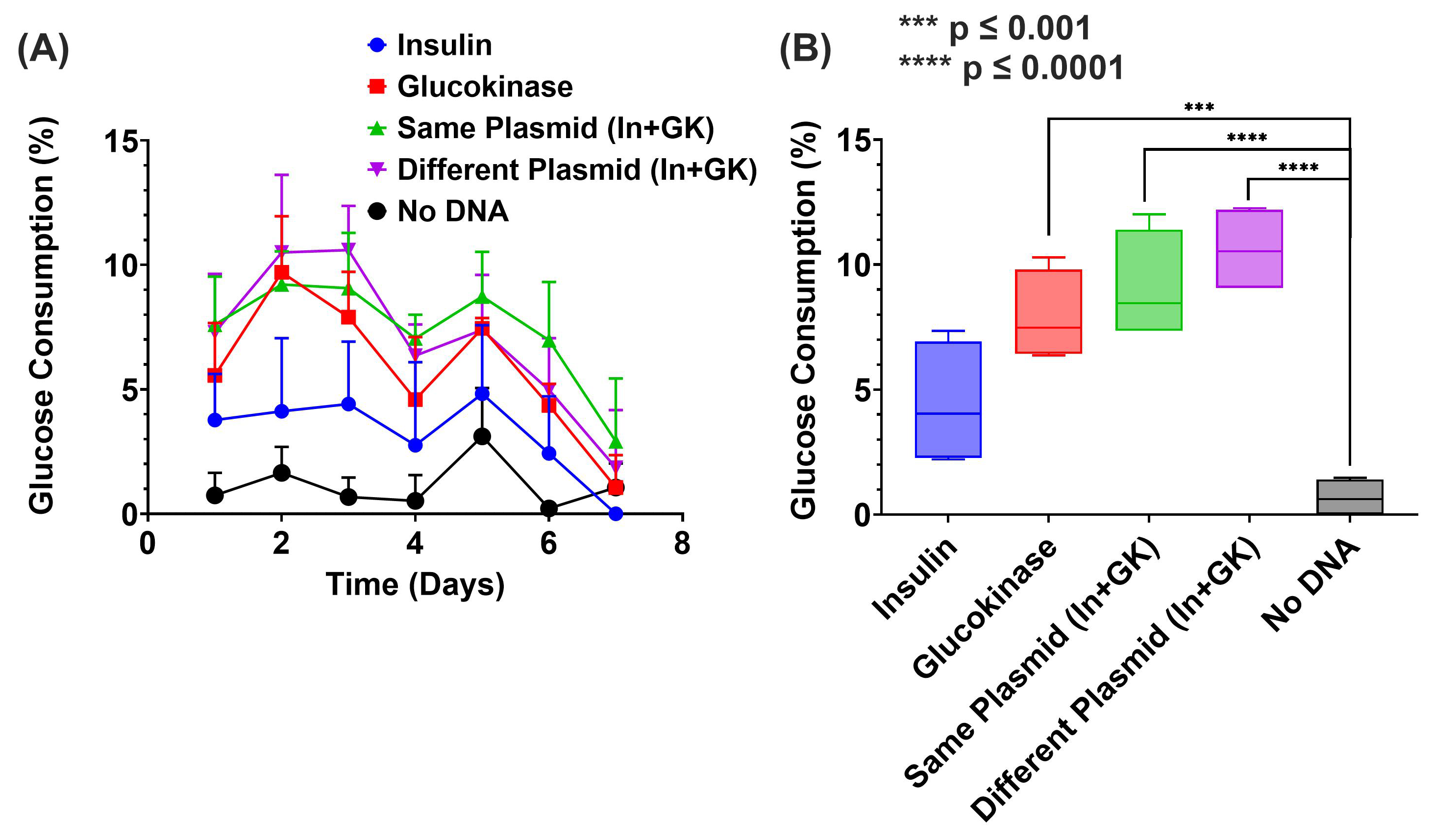 Localized In Vivo Electro Gene Therapy (LiveGT)-Mediated Skeletal ...
