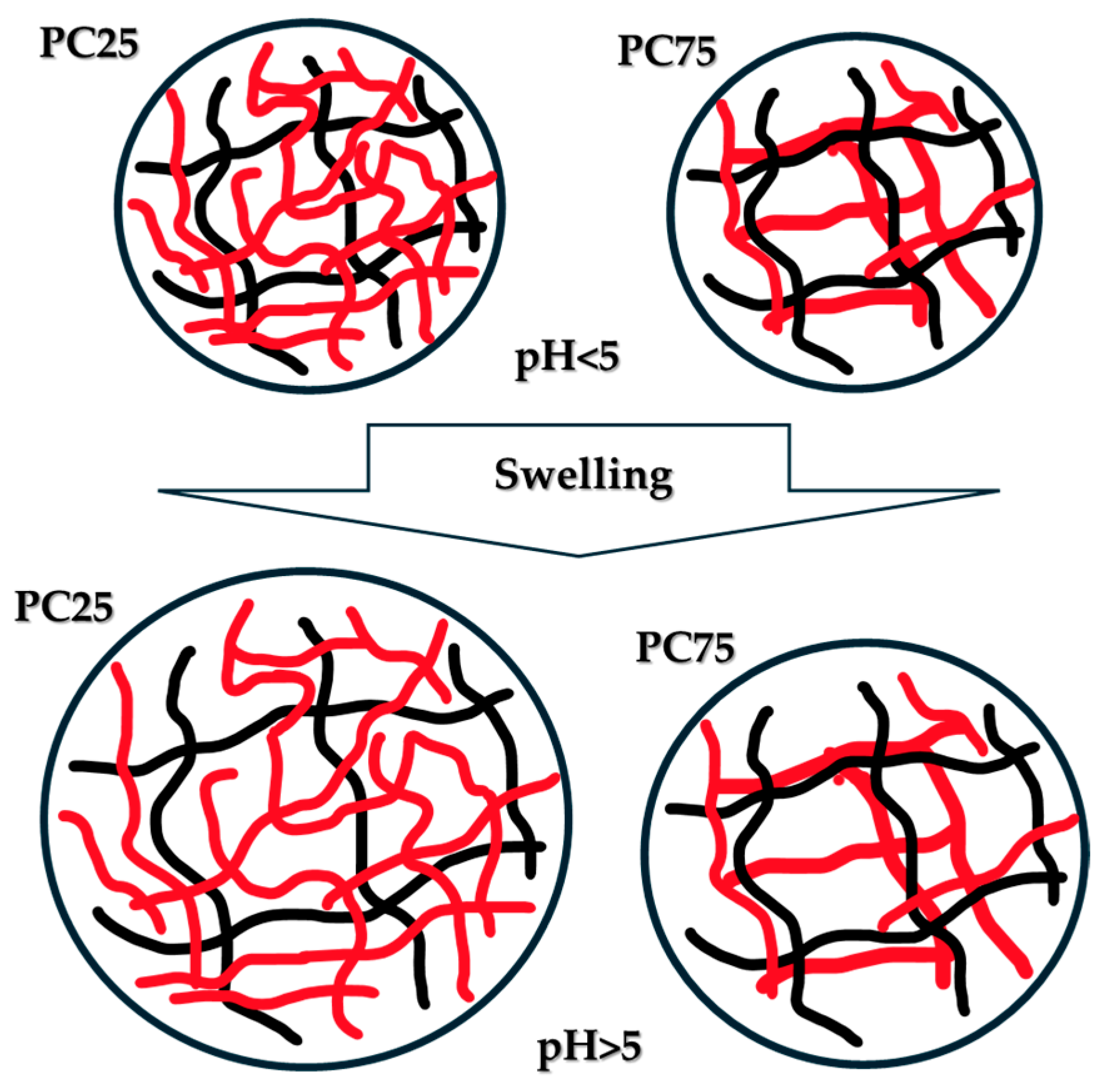 Smart Poly(acrylic acid)/Poly(acrylamide) Microgels with ...