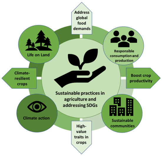 Seed Biotechnologies in Practicing Sustainable Agriculture: Insights ...