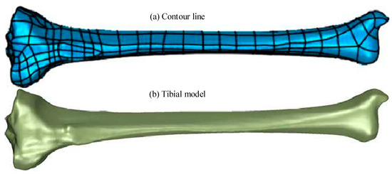 Biomechanical and Injury Tolerance Analysis of Tibial Movement Under ...