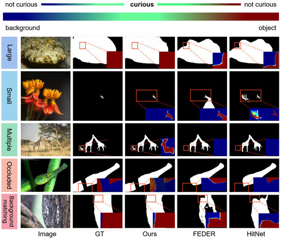 Curiosity-Driven Camouflaged Object Segmentation