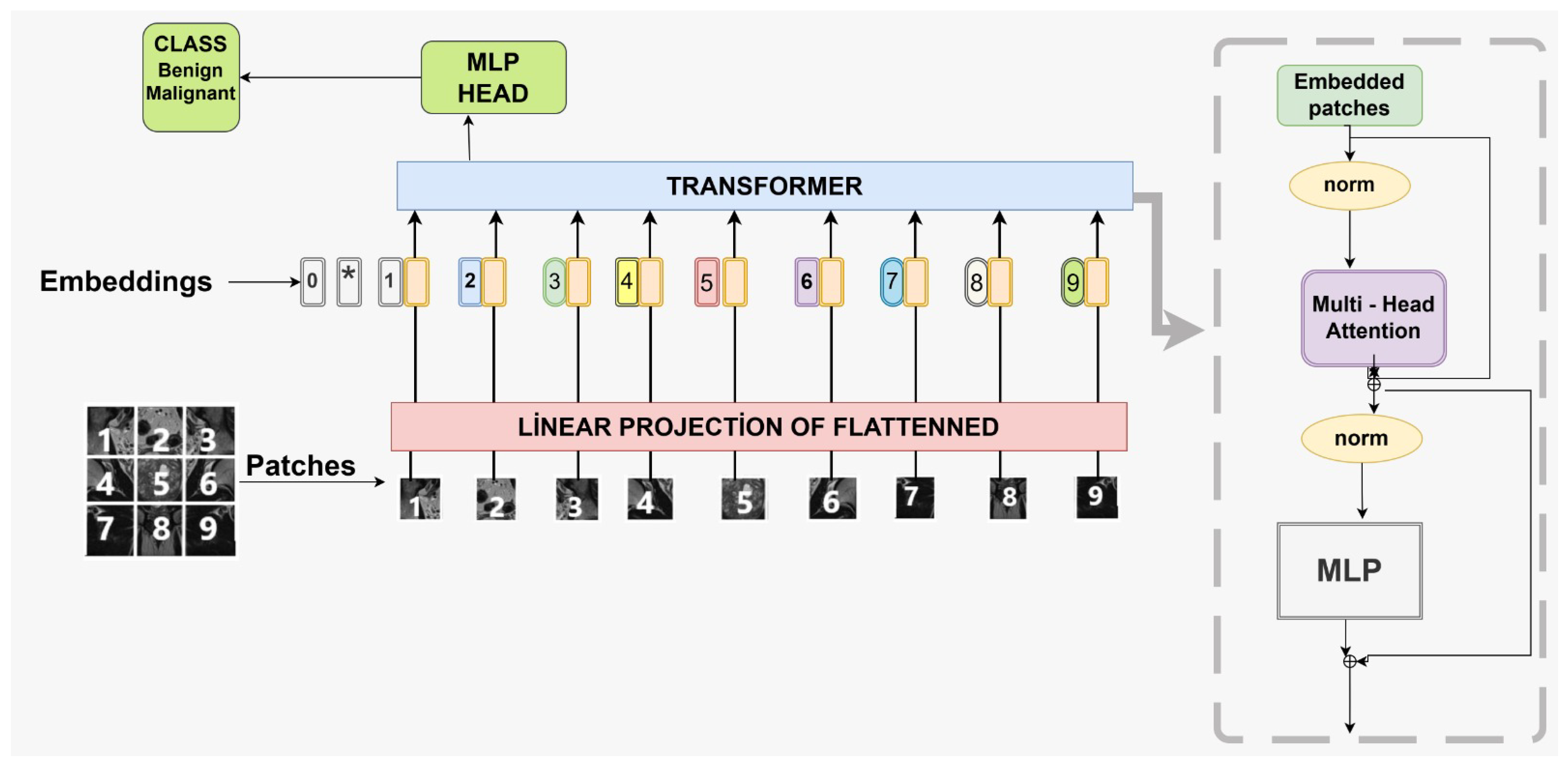 A Classifier Model Using Fine-Tuned Convolutional Neural Network and ...