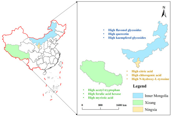 Advances in the Study of Bioactive Compounds and Nutraceutical ...