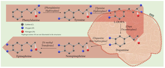 Nanocarriers-Assisted Nose-to-Brain Delivery of Levodopa: Current ...