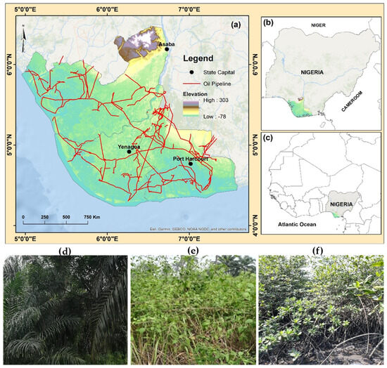 Remote Monitoring of the Impact of Oil Spills on Vegetation in the ...