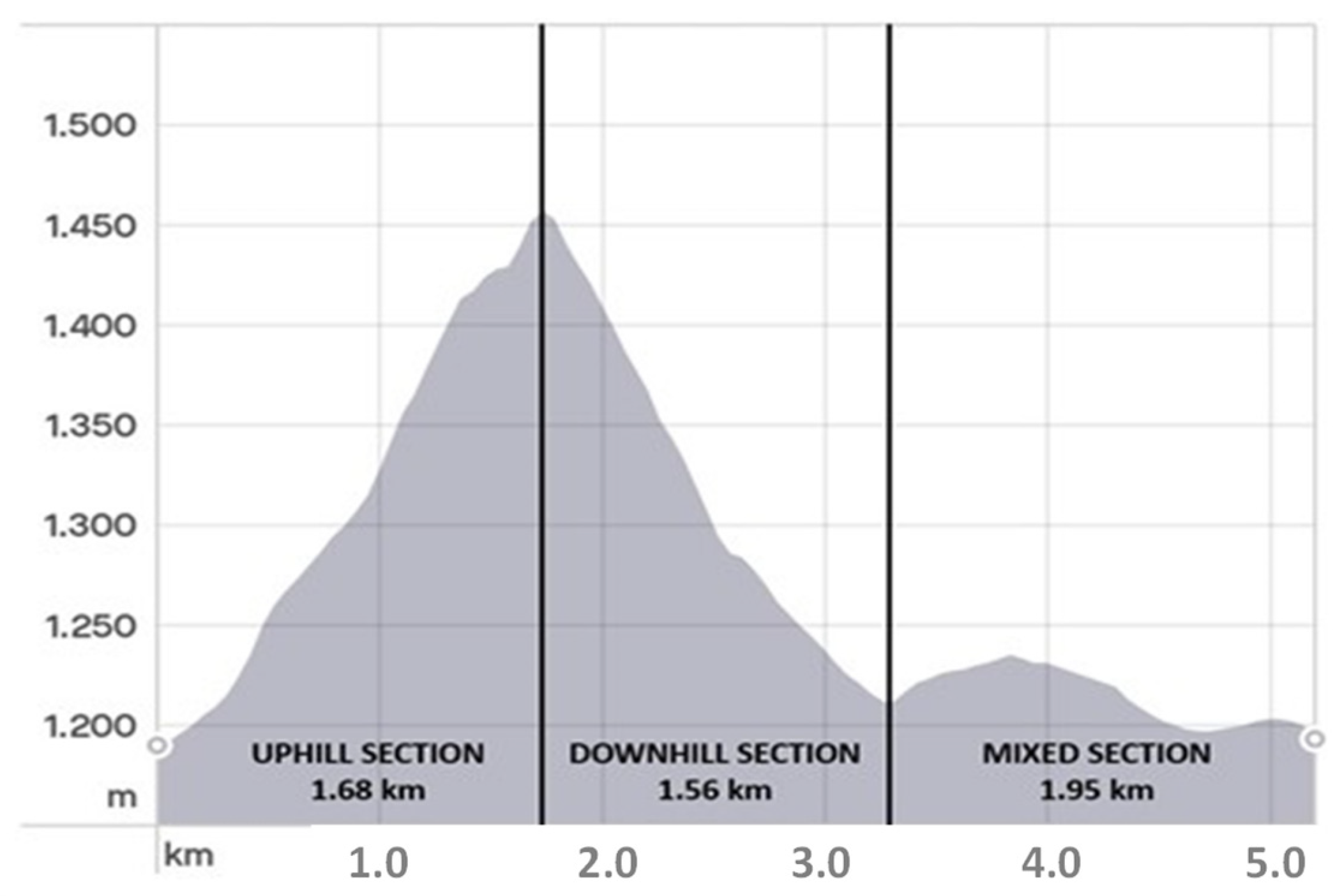 The Impact of Advanced Footwear Technology on the Performance and ...