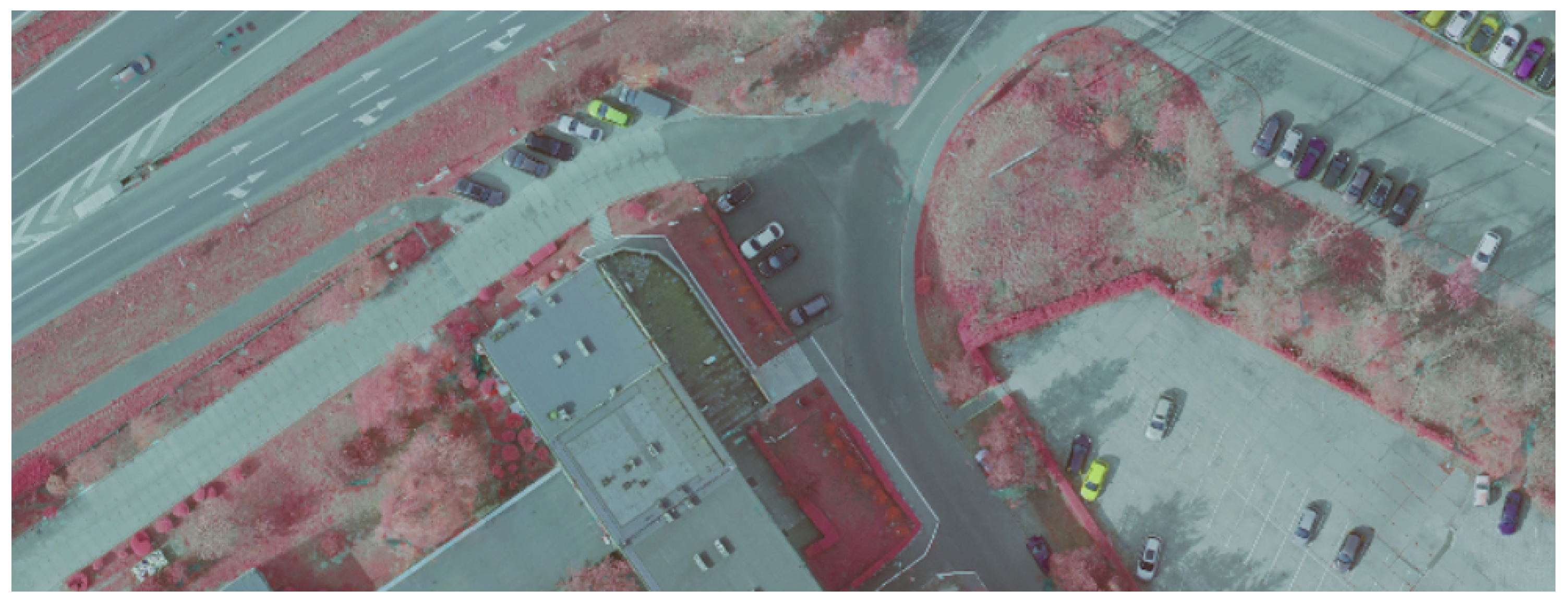 Automated Tree Detection Using Image Processing and Multisource Data