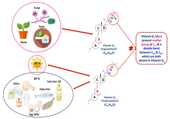 A Comprehensive Review on the Beneficial Roles of Vitamin D in Skin ...