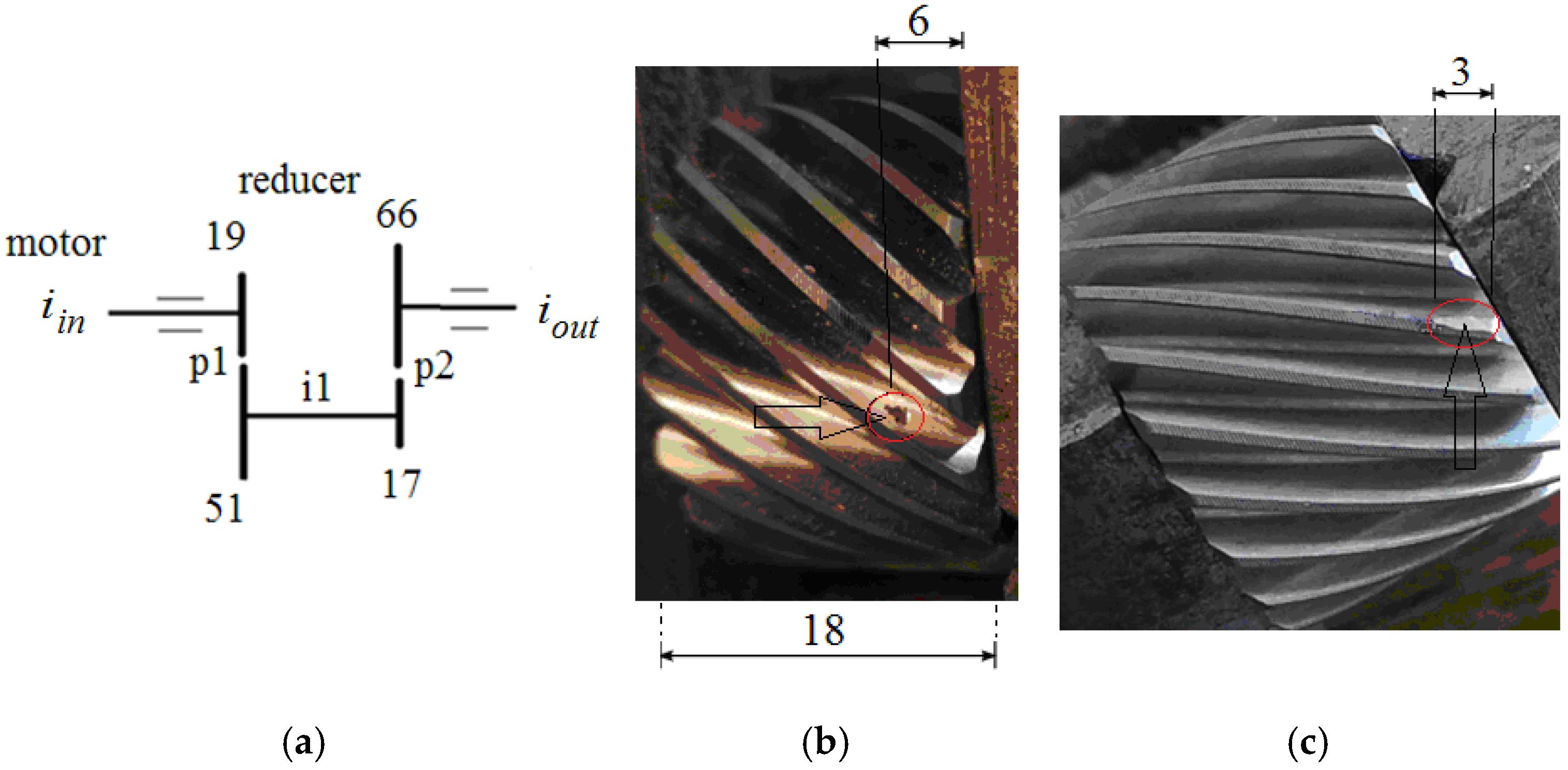 Continuous Wavelet Transform and CNN for Fault Detection in a Helical Gearbox