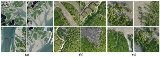 Construction of Multi-Scale Fusion Attention Unified Perceptual Parsing Networks for Semantic ...
