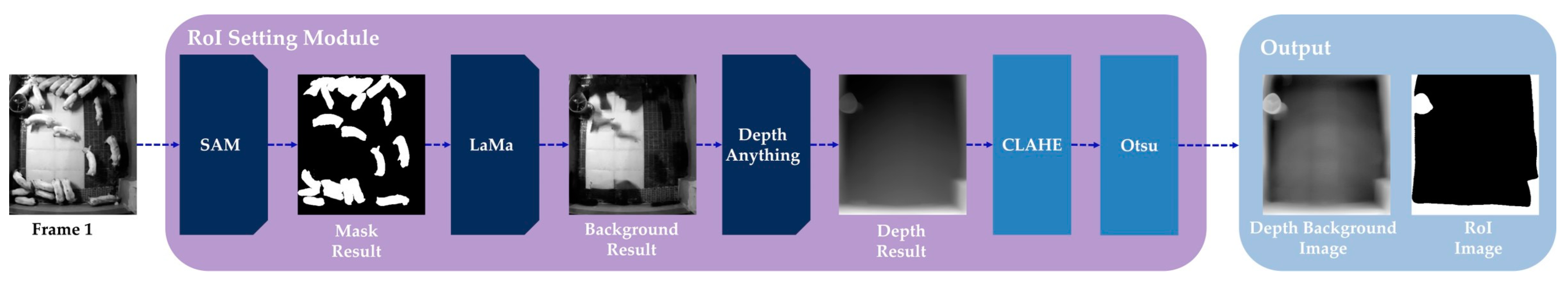 Depth-Oriented Gray Image for Unseen Pig Detection in Real Time