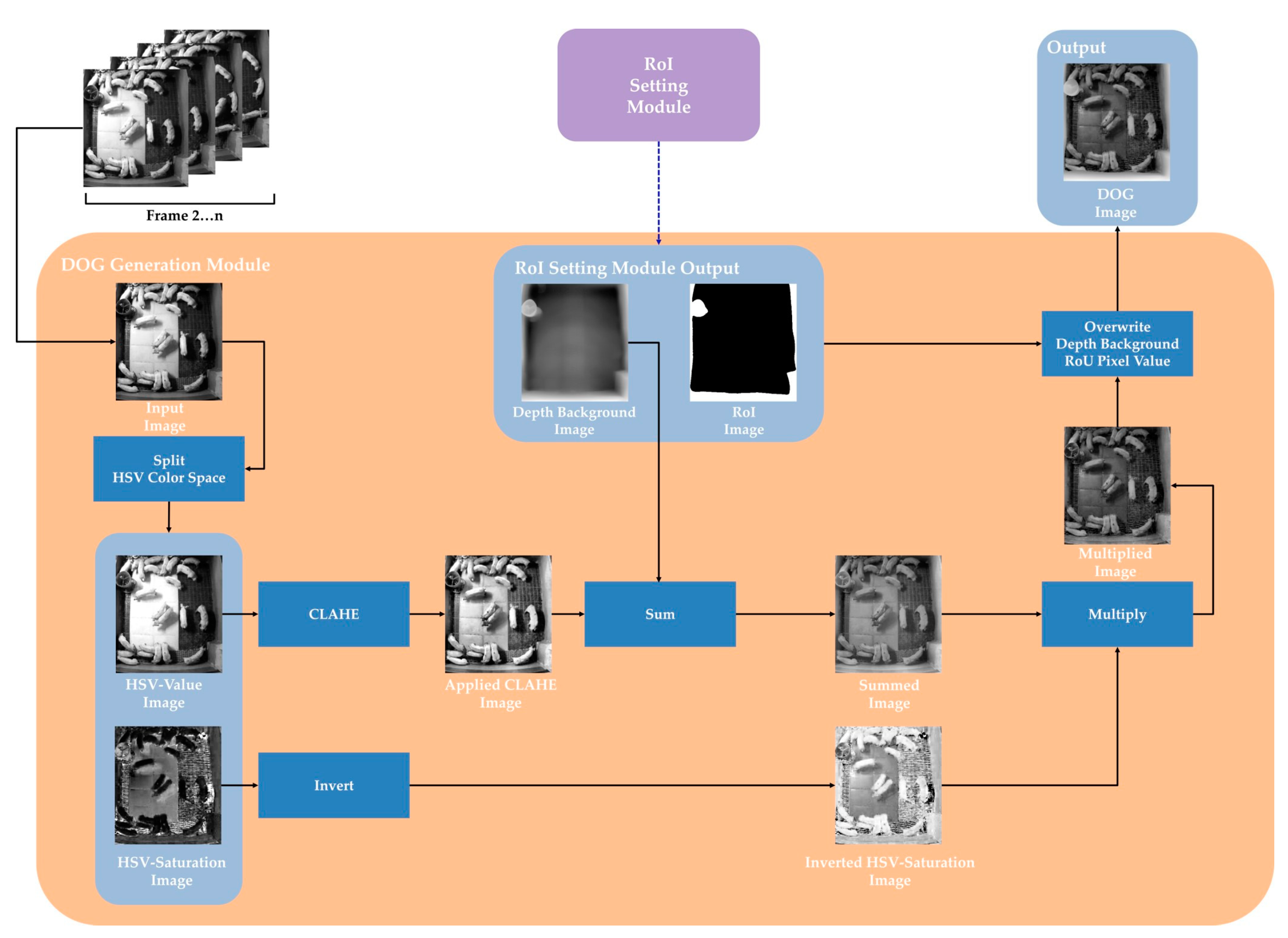 Depth-Oriented Gray Image for Unseen Pig Detection in Real Time