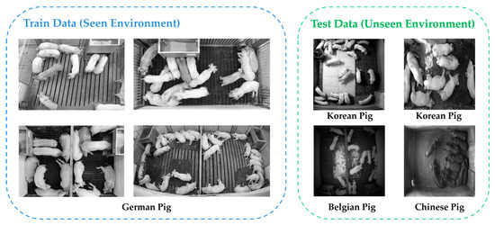 Depth-Oriented Gray Image for Unseen Pig Detection in Real Time