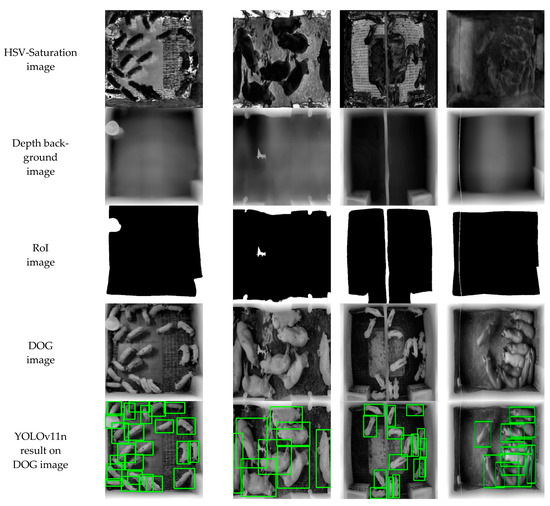Depth-Oriented Gray Image for Unseen Pig Detection in Real Time