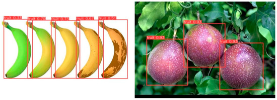The Fruit Recognition and Evaluation Method Based on Multi-Model ...