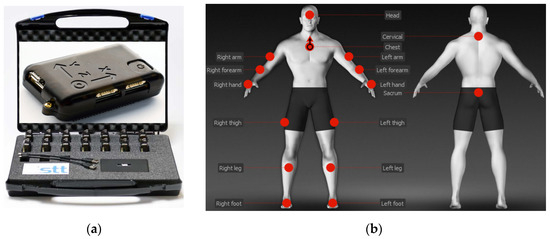 Development of a Simplified Human Body Model for Movement Simulations