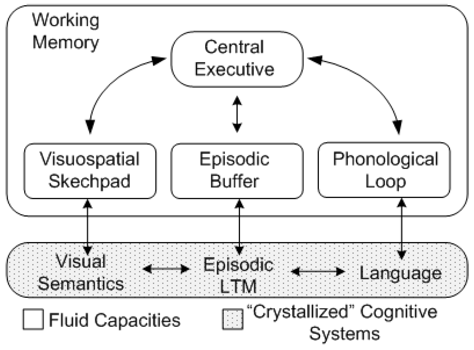 Improving the Efficiency of Multimedia Learning and the Quality of ...