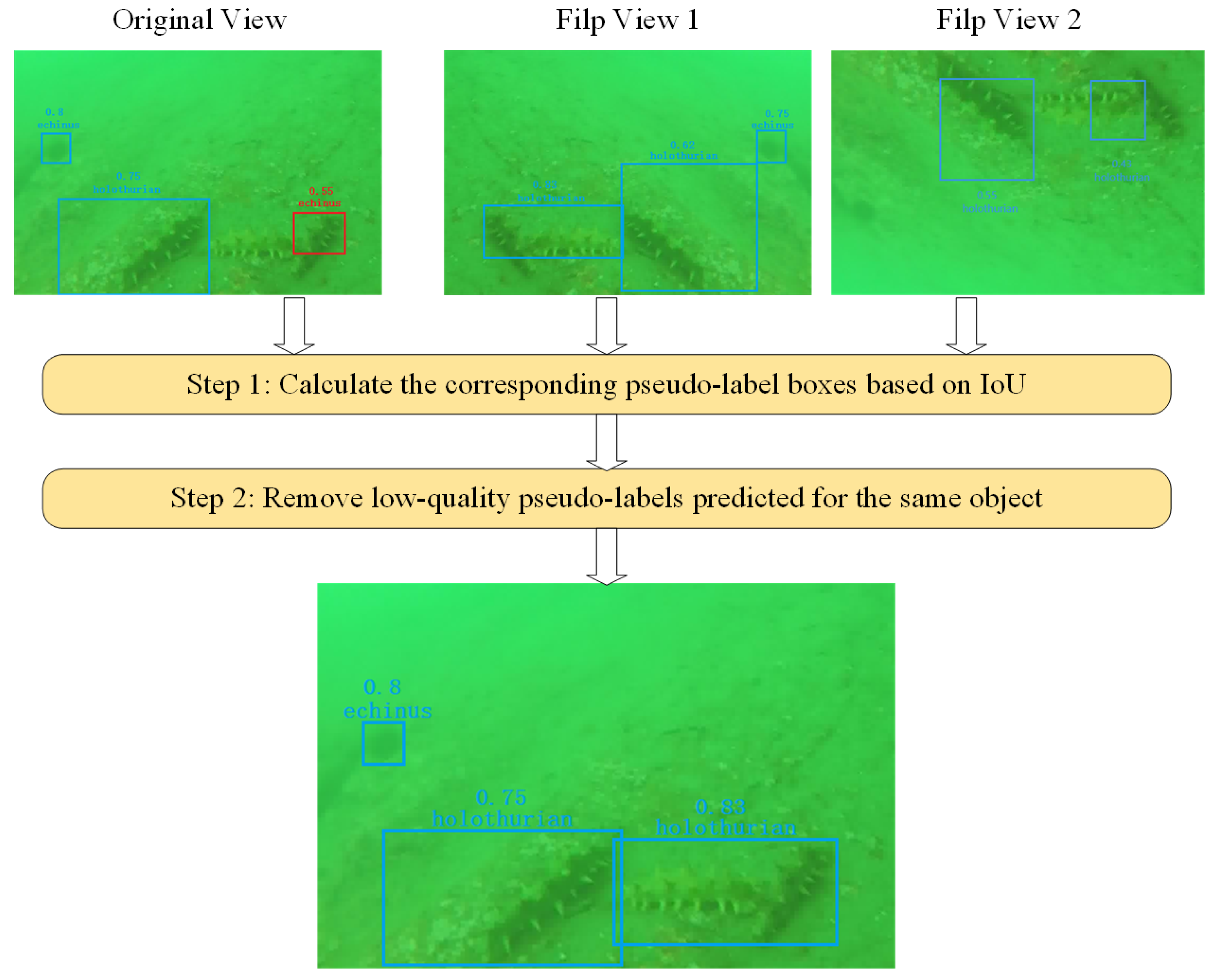 Semi-Supervised Method for Underwater Object Detection Algorithm Based on Improved YOLOv8