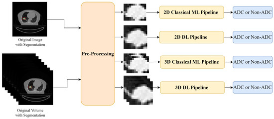 Comparing 2D and 3D Feature Extraction Methods for Lung Adenocarcinoma ...