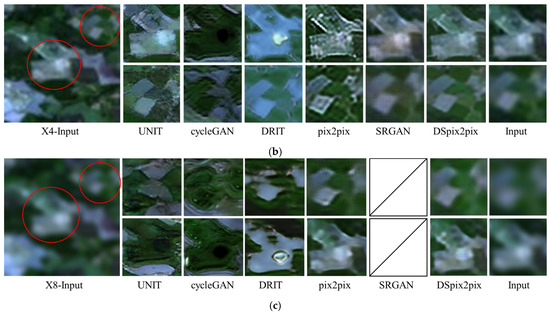 DSpix2pix: A New Dual-Style Controlled Reconstruction Network for ...