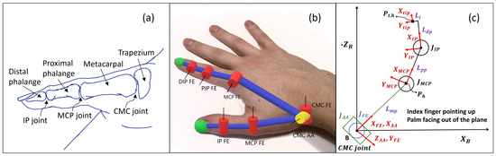A Carpometacarpal Thumb Tracking Device for Telemanipulation of a ...