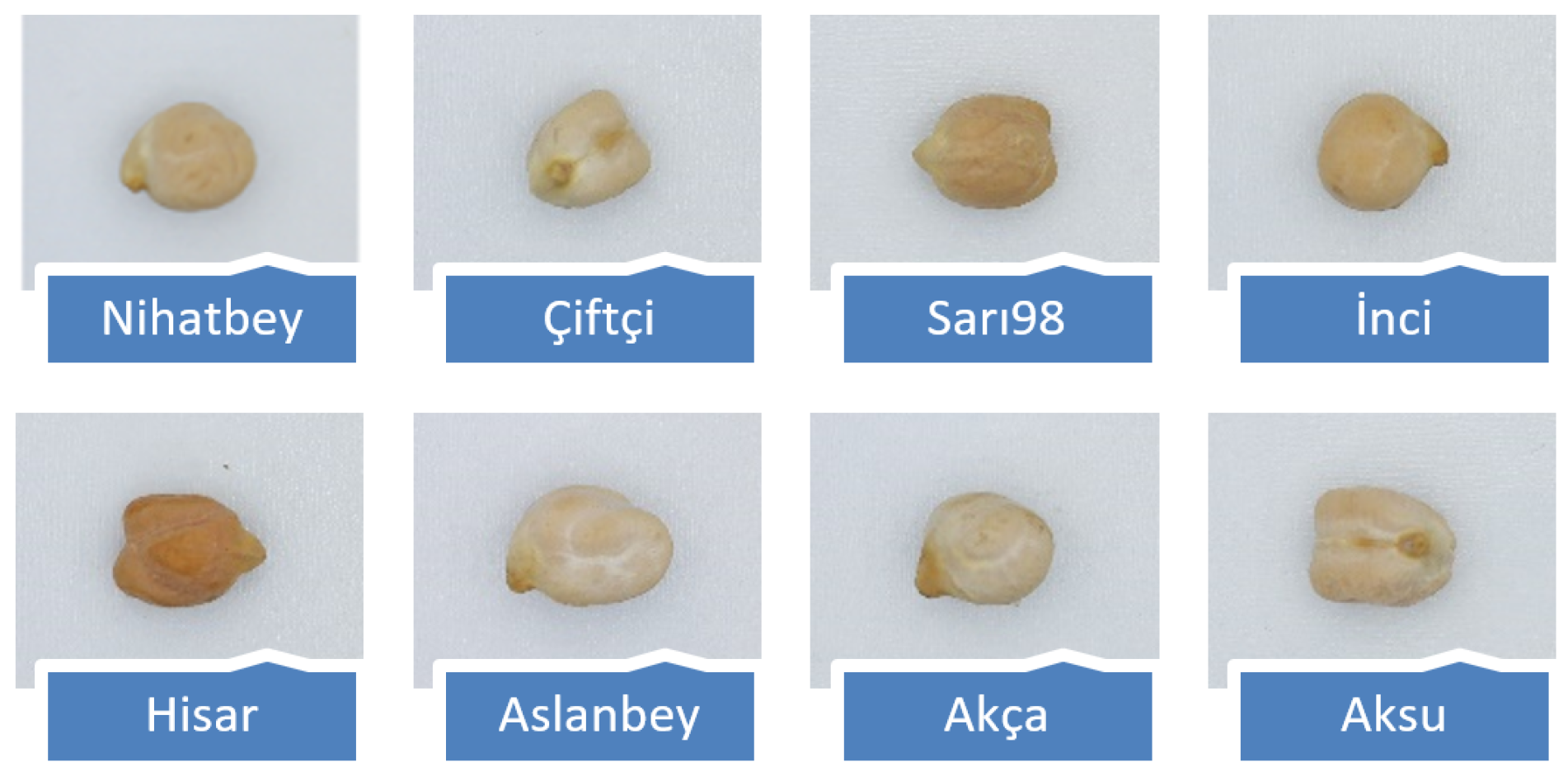 A Novel Hybrid Methodology Based on Transfer Learning, Machine Learning ...