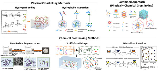 Synthesis of Hydrogel-Based Microgels and Nanogels Toward Therapeutic ...