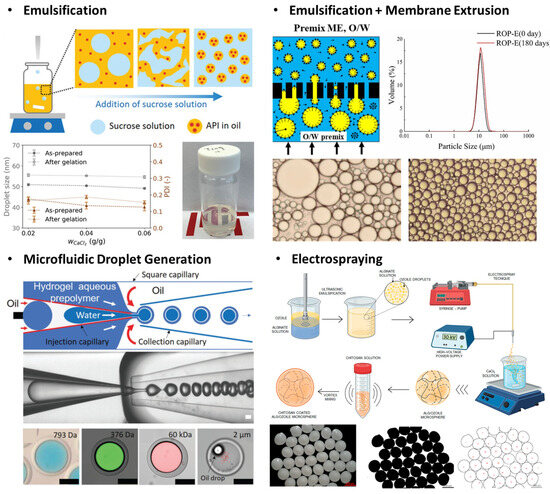Synthesis of Hydrogel-Based Microgels and Nanogels Toward Therapeutic ...